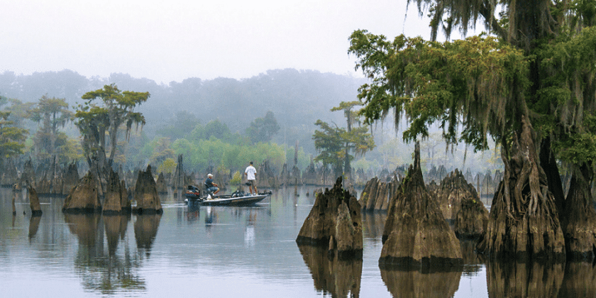 Northwest Florida’s State Parks: Easy Access to Variety, Adventure and ...